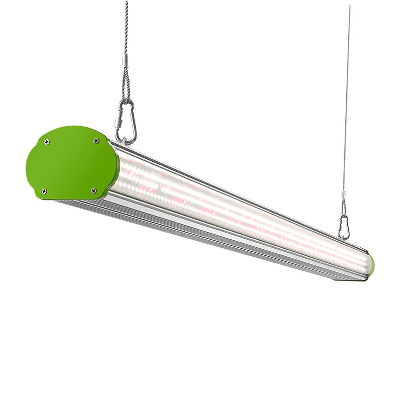 LED Grow Light 300watts for Greenhouse and Indoor Planting