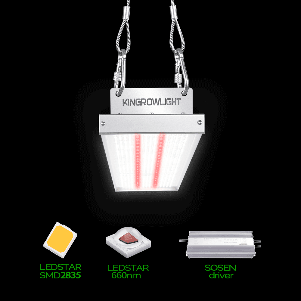 LED grow light 300watts for greenhouse and indoor planting