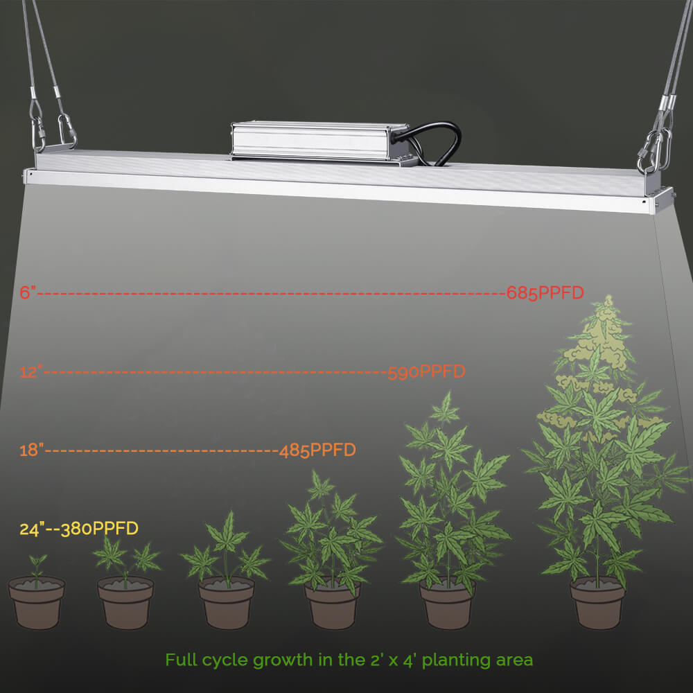 LED grow light 300watts for greenhouse and indoor planting