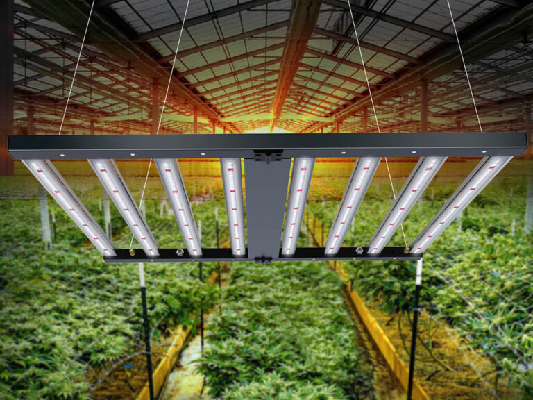 Insufficient light in winter, how to solve the photosynthesis required ...