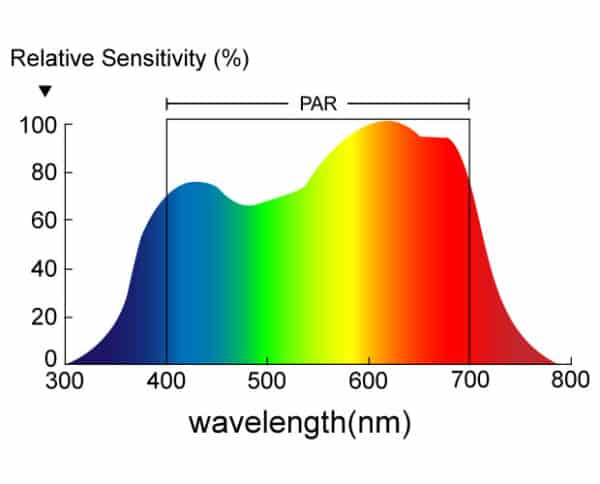 LED Grow Lights – How to Judge the Right Spectrum